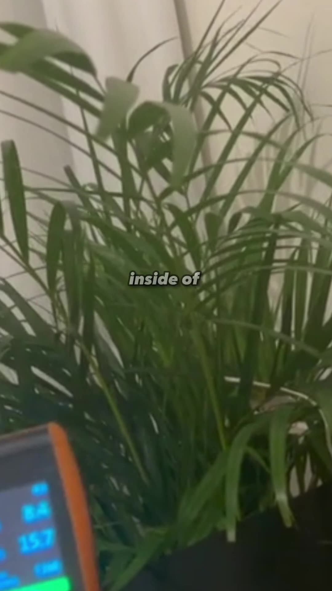 What Happend With Tate's Cousin Luc? 😳