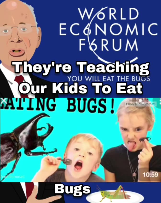 They're Teaching Our Kids To Eat Ze Bugs