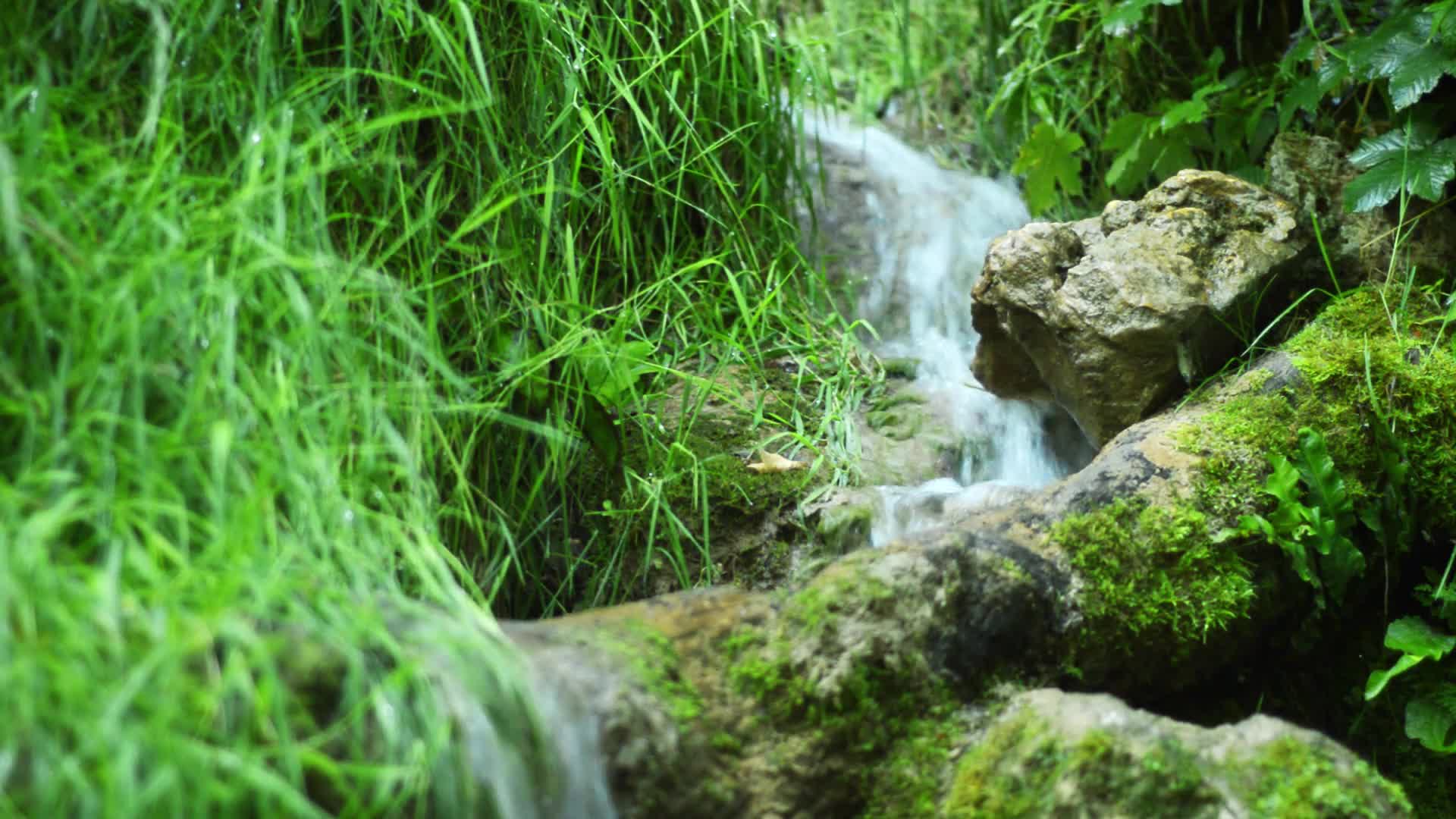 Nature