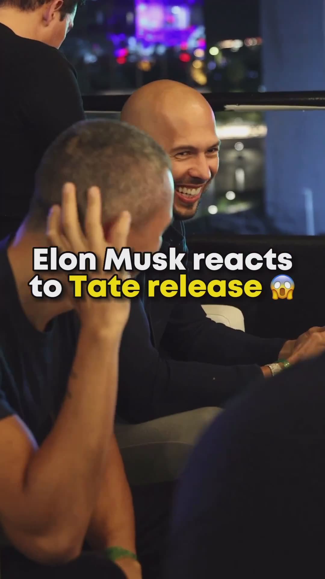 elon musk reacts to tate release