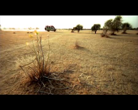 Fevicol Indian adhesive Advertisement. Bus