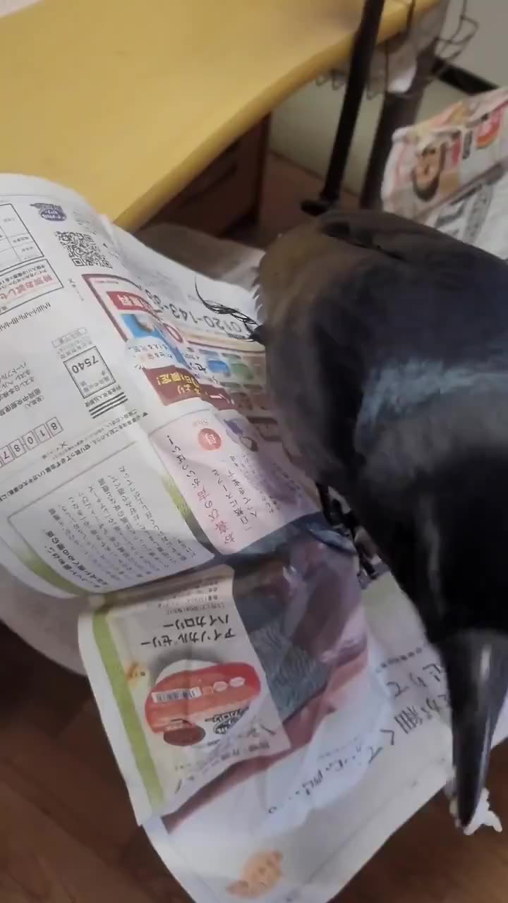 Cute & Funny Animals