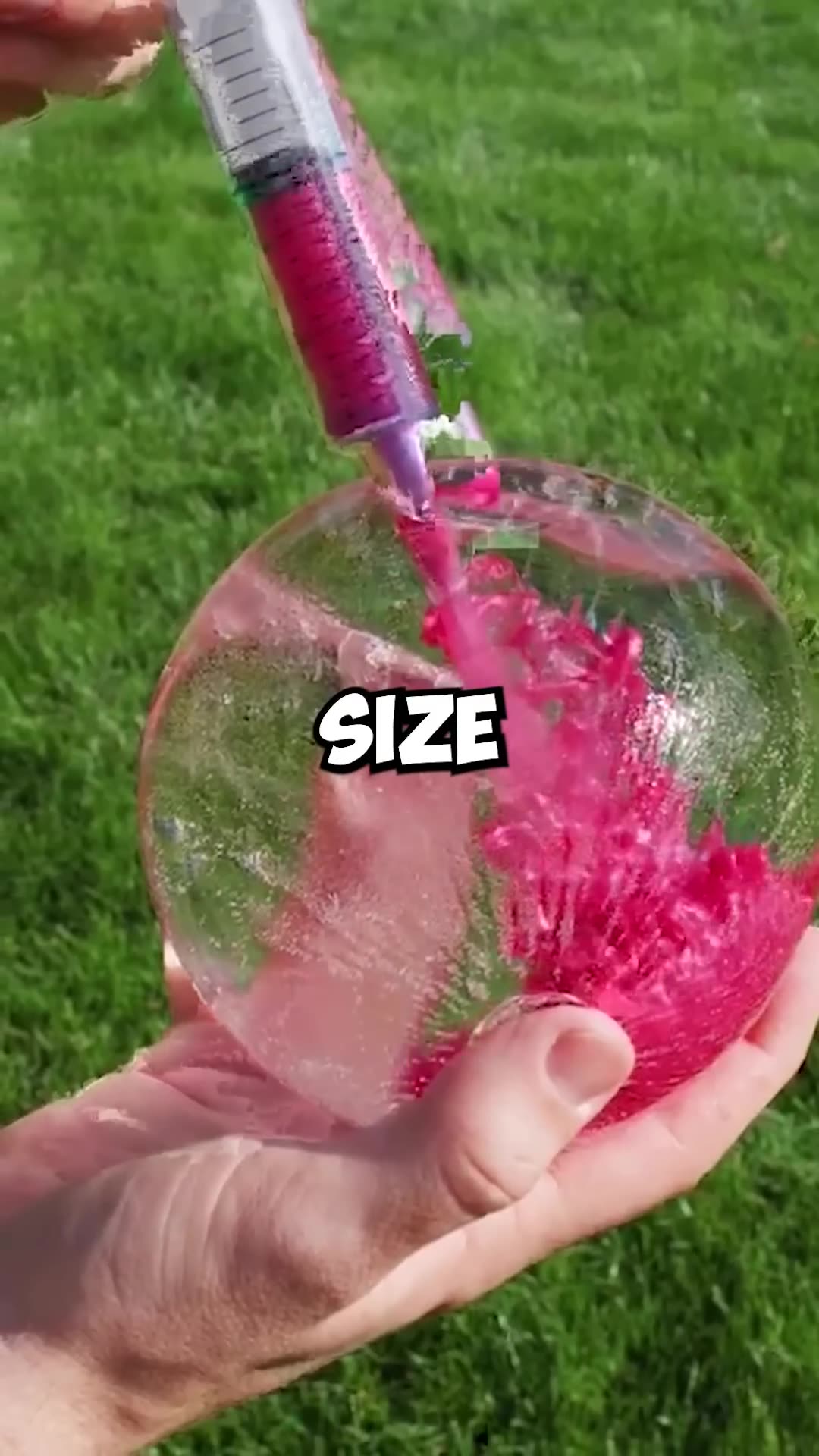 Animal Facts That Will Make Your Day! #shorts #facts #animals