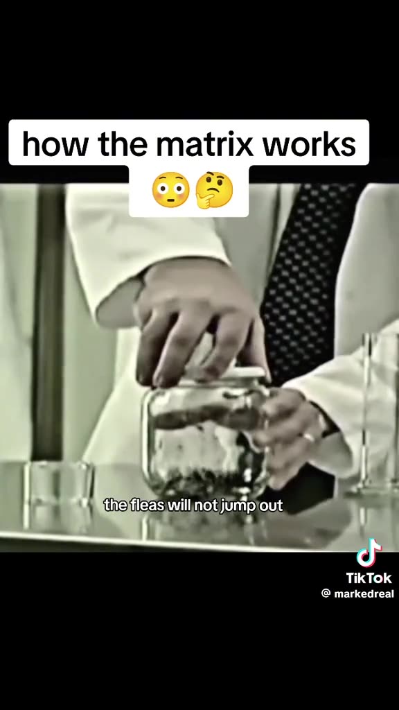 How The Matrix Works