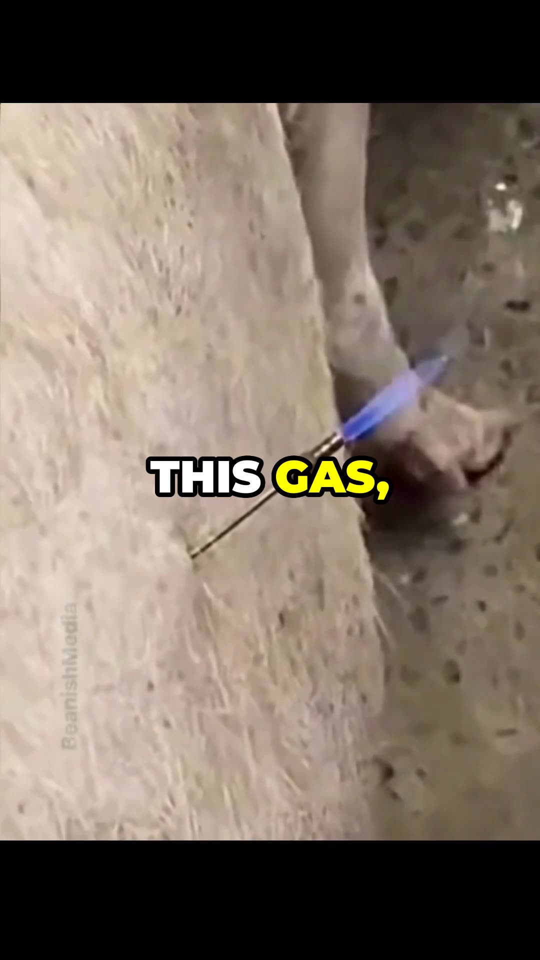 "Explosive Facts About Cow Methane You Didn’t Know!"