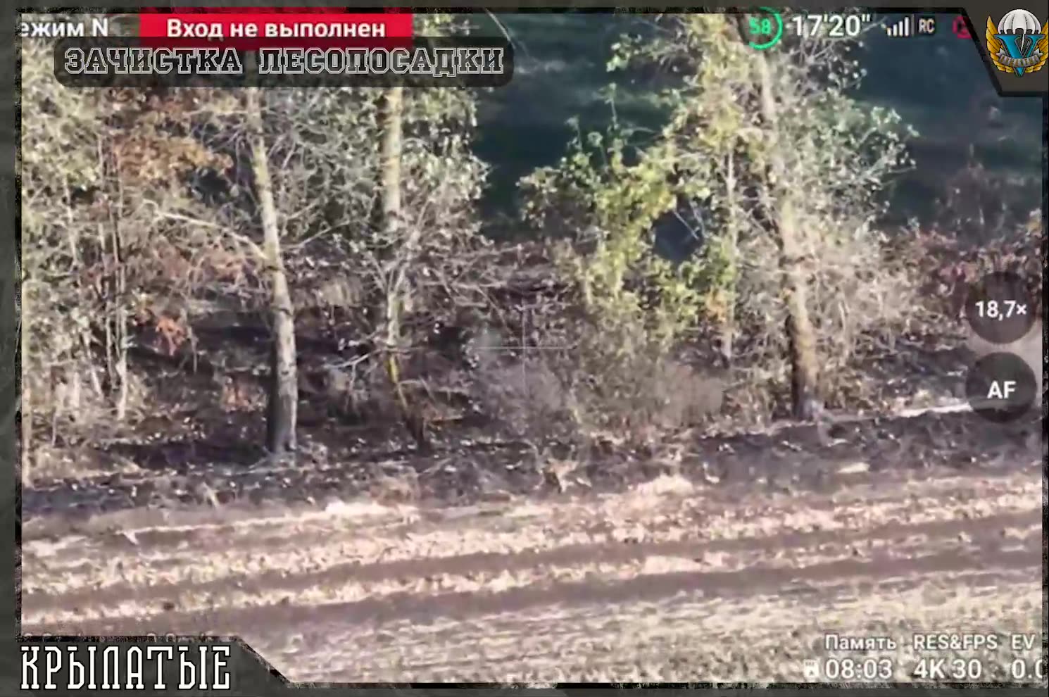 Paratroopers storm the AFU-occupied Kalinnik tract near Lyubimovka ...