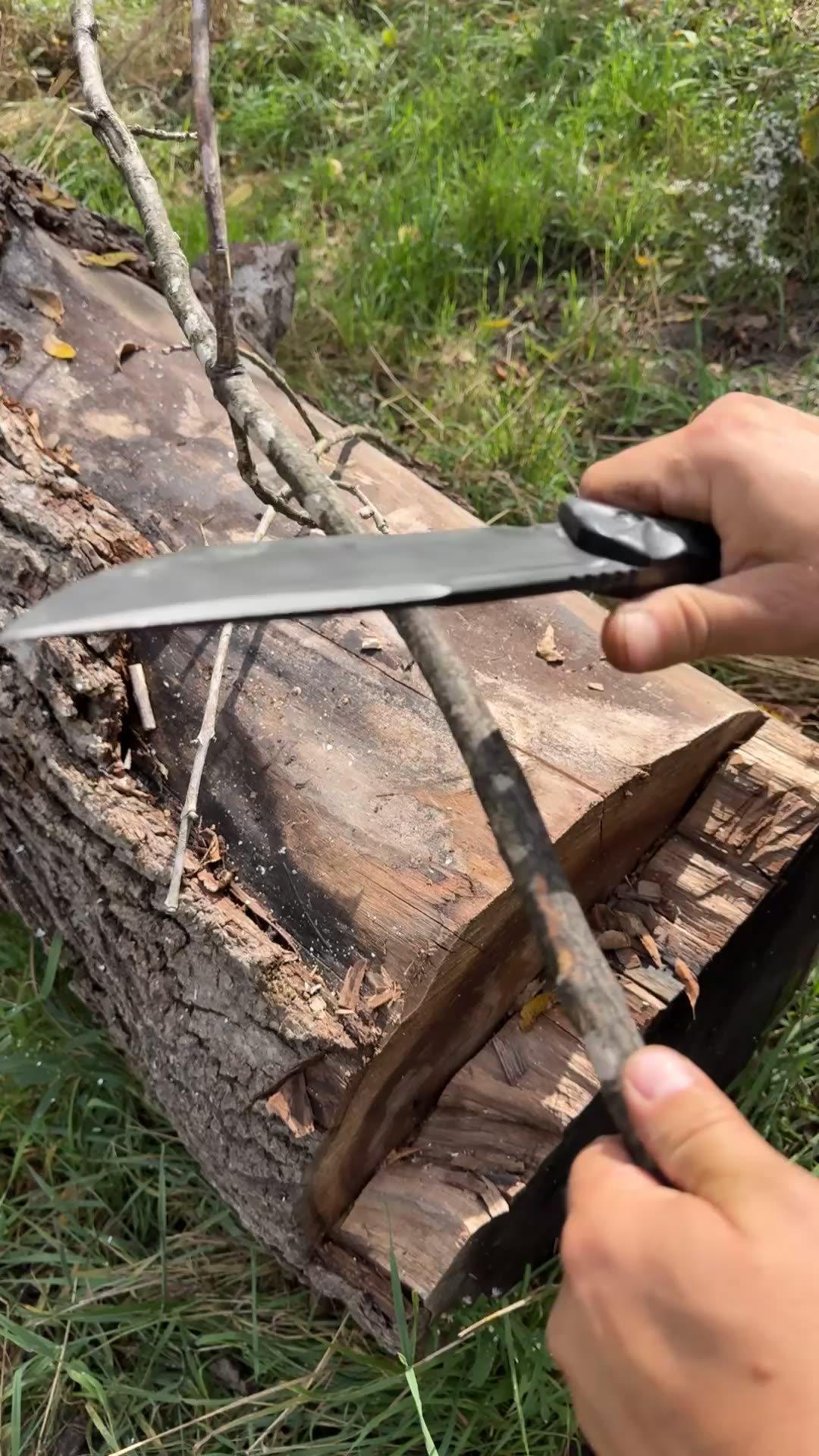 Chopping With The Tactical Bowie Knife