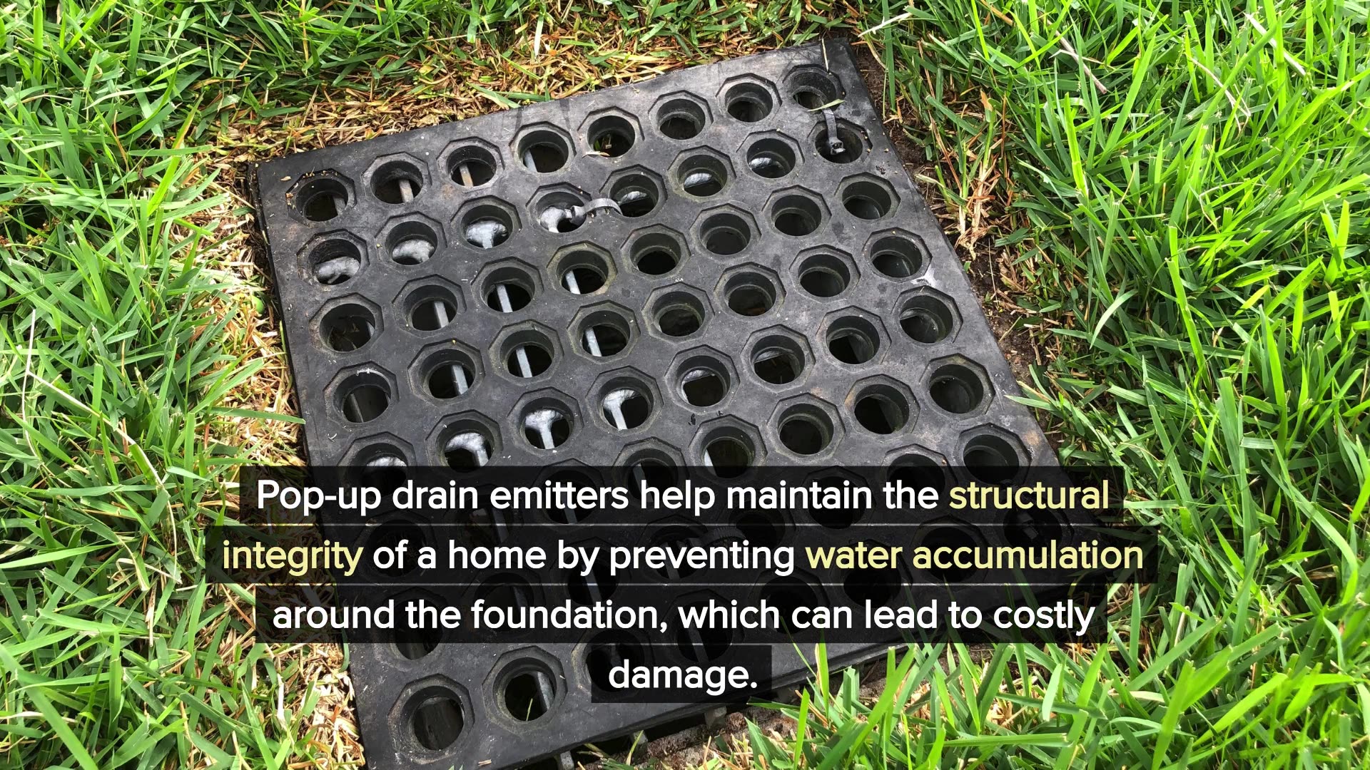 What are Pop up Drain Emitters?: What Do They Do?