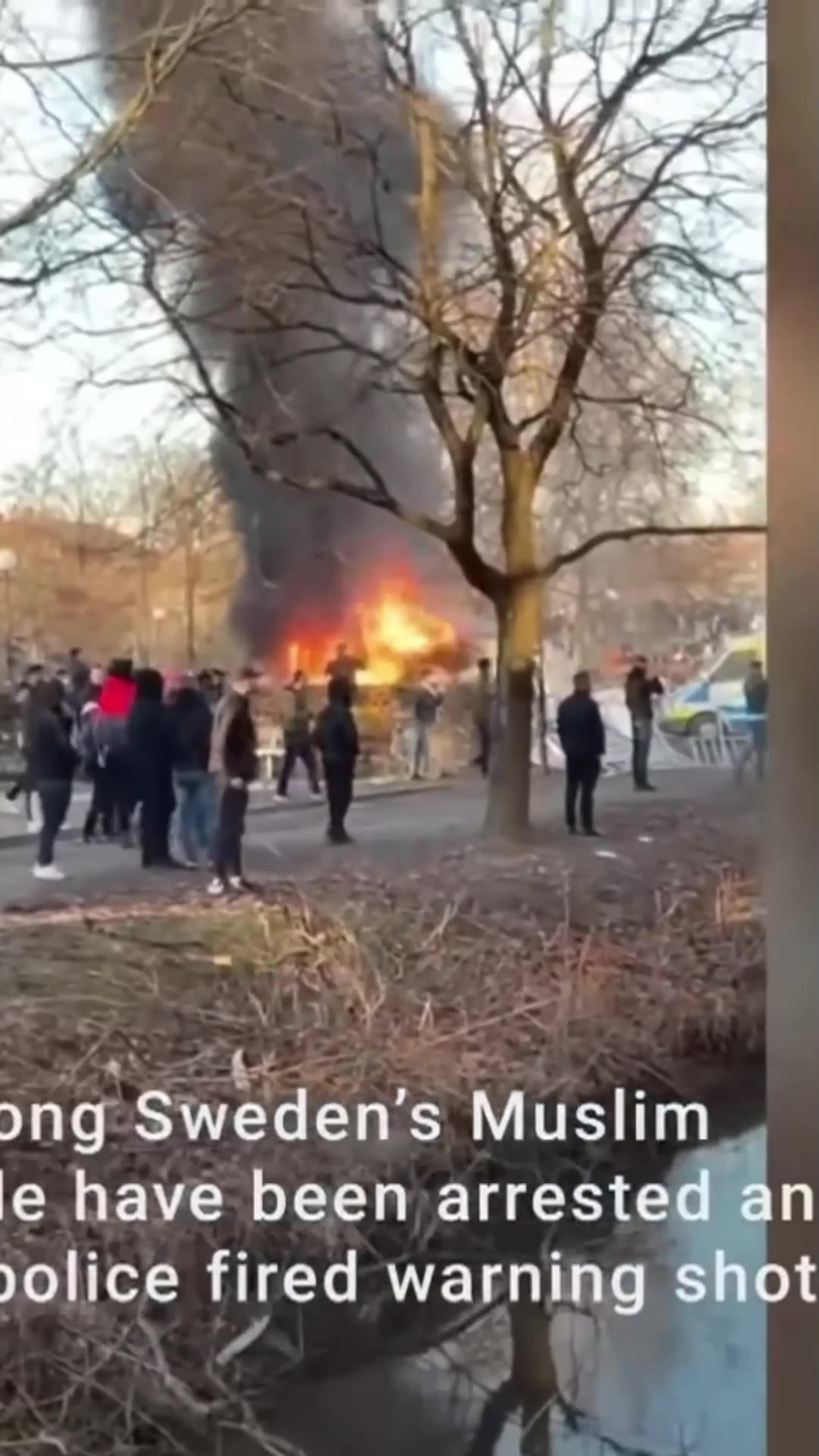 Sweden's No-Go Zones: Can the Army Restore Safety?