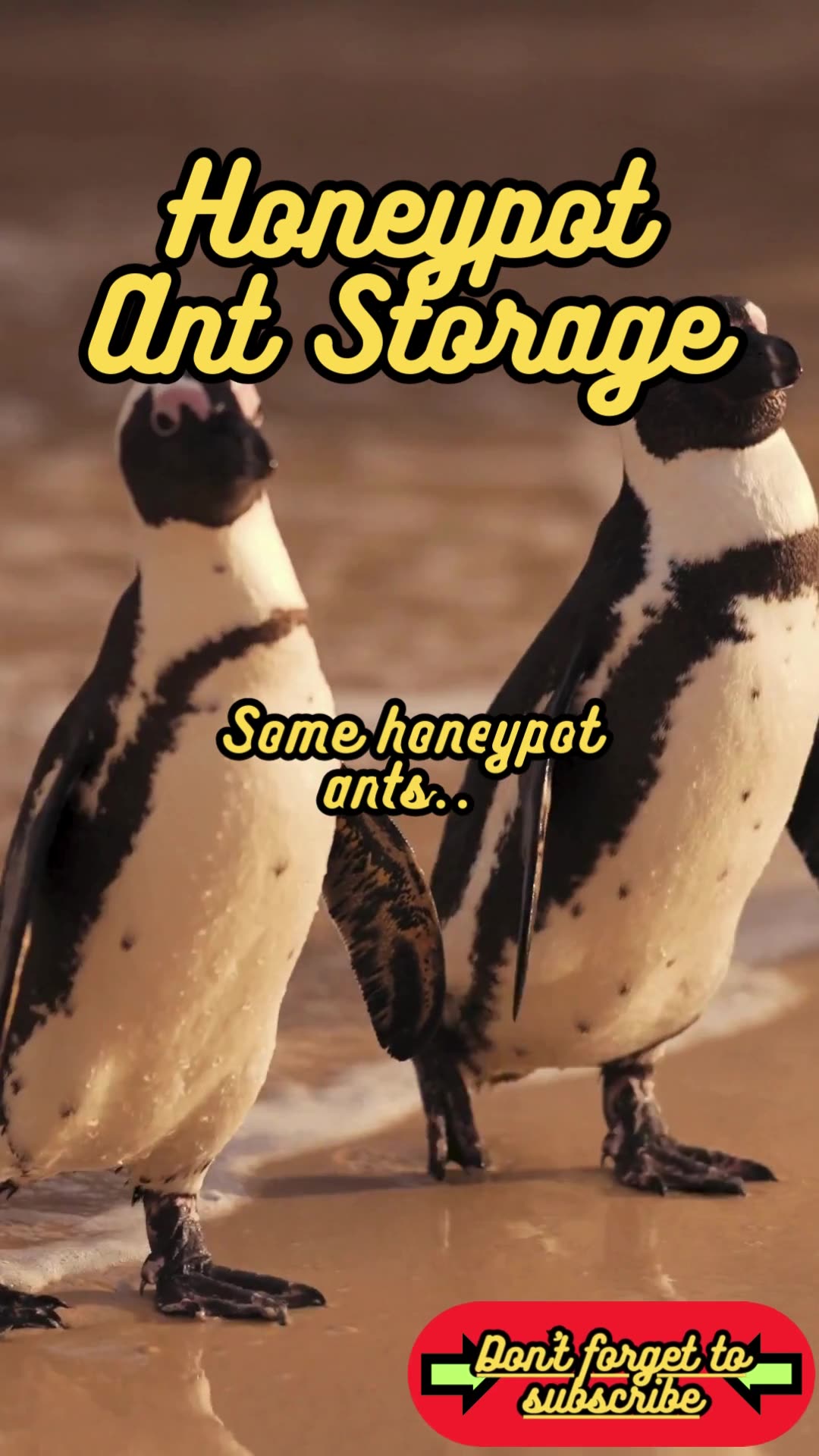 Animal Facts Honeypot Ant Storage #shorts