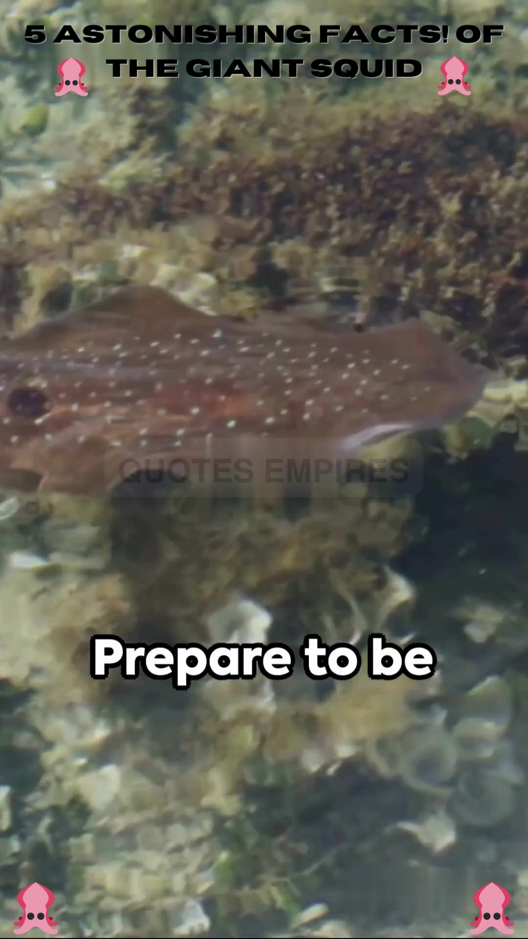 Unraveling the Mystery of the Giant Squid:5 Astonishing Facts! # ...