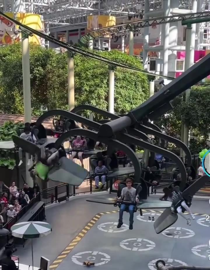 Which One Is Having The Most Fun?