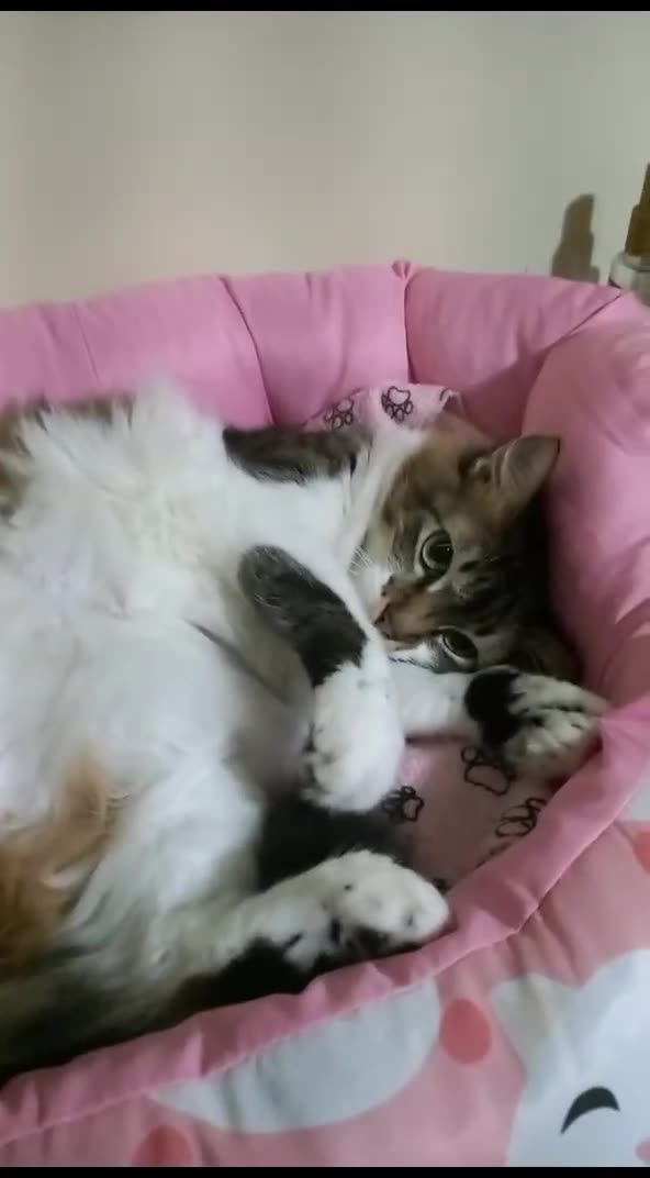 Little baby Sissy Spacek ready for bed