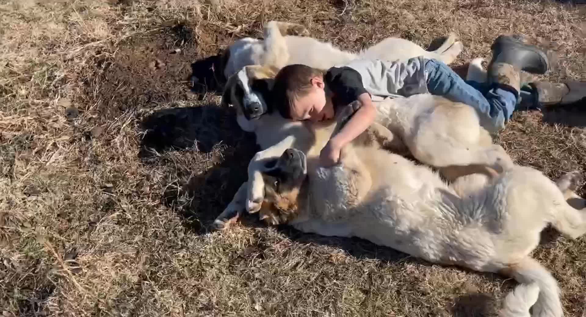 9-28-2022 - Missing the forest through the pipeline bombing