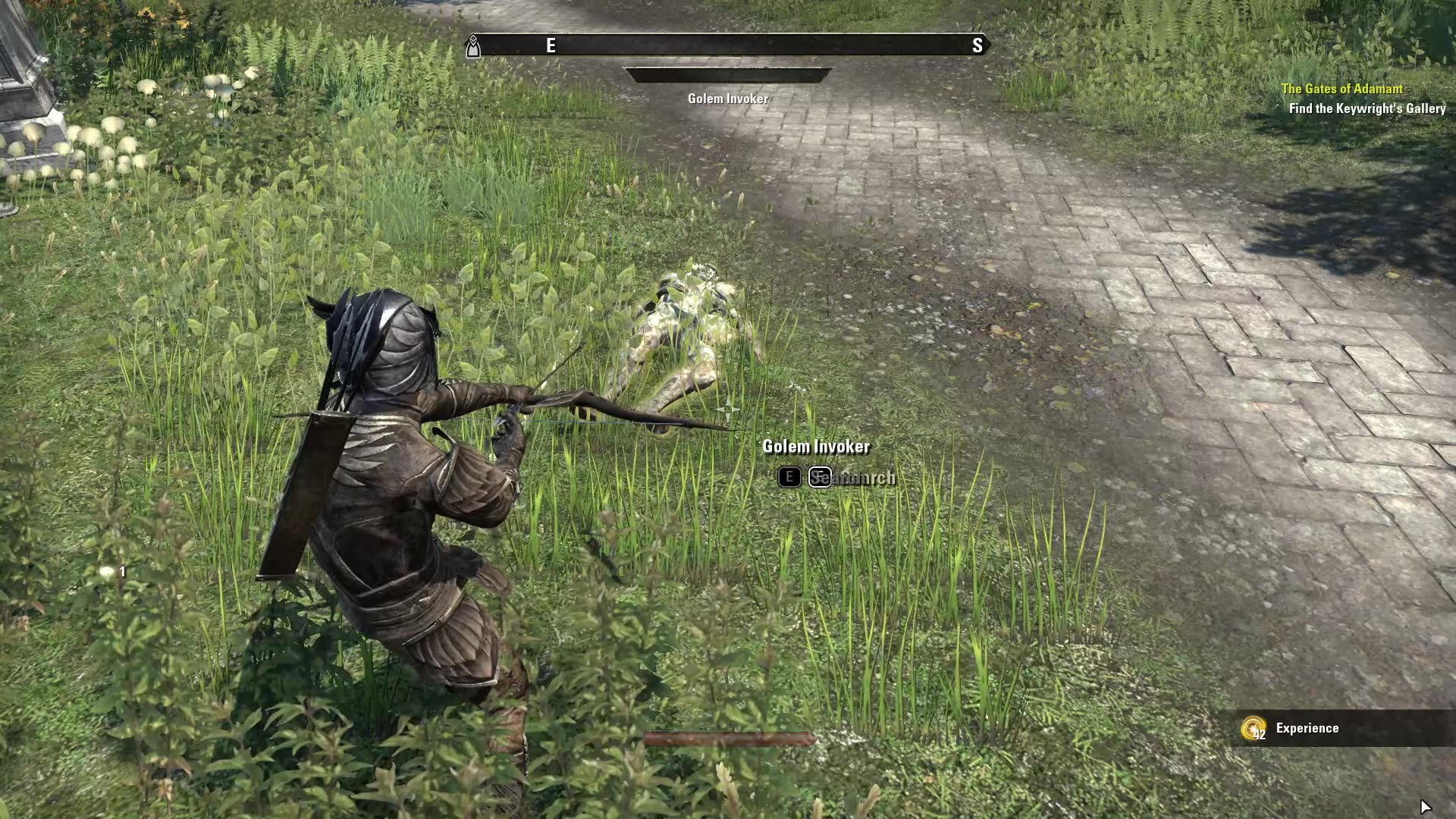 Elder Scrolls Online Game Play: Episode 1 - Wood Elf Nightshade