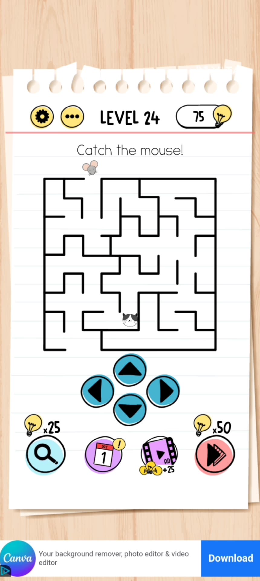 Catch the mouse ! Brain test level 24