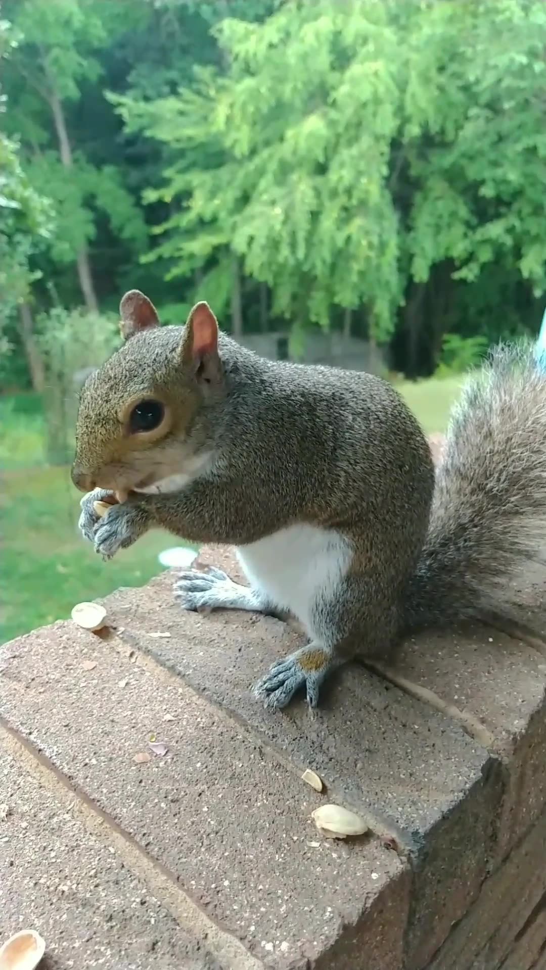 She was waiting for her pistachios! Isn't she cute and adorable??! Mika ...