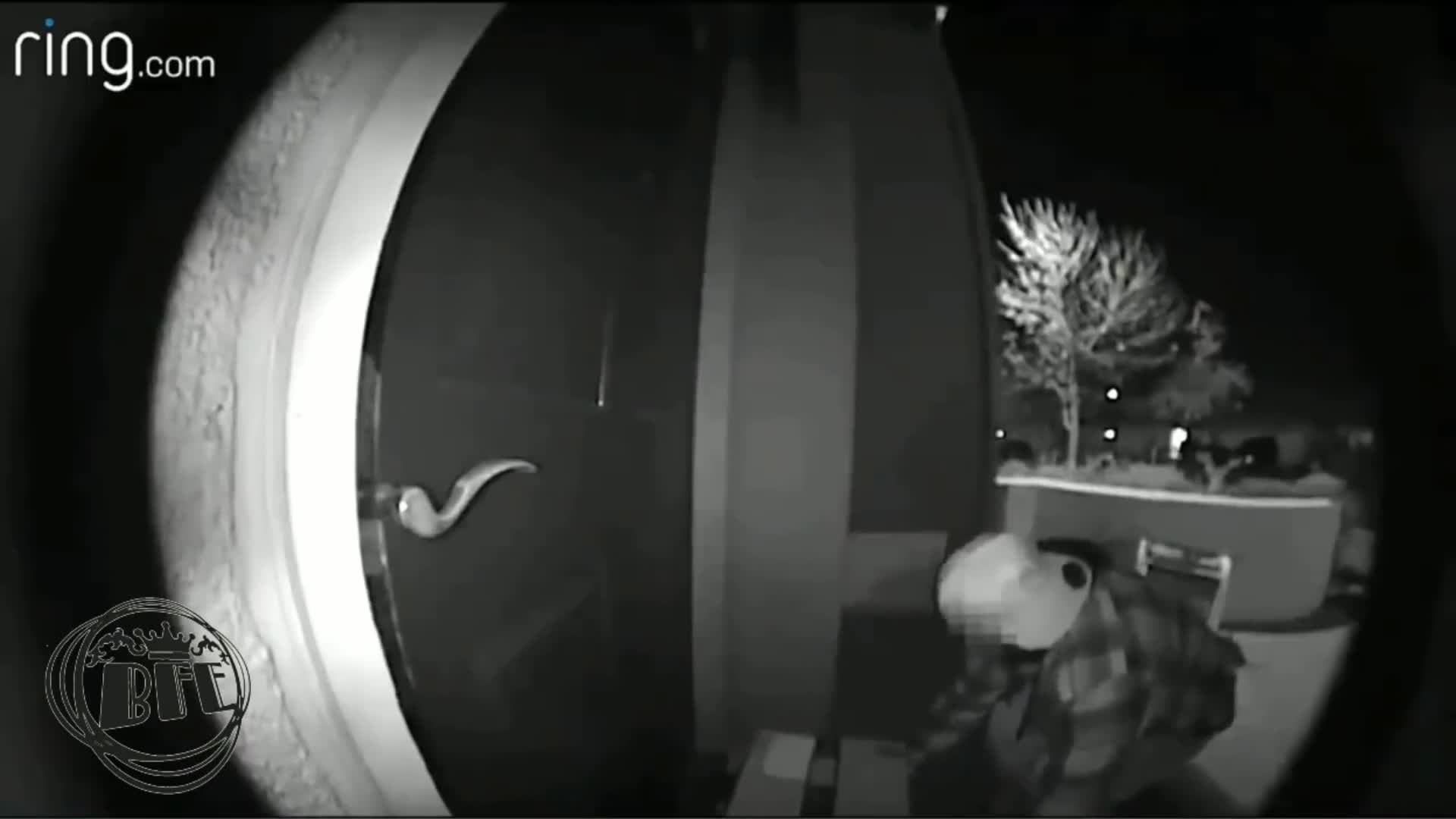 Porch Pirates Caught And Confronted | Package Thieves Fails Caught On ...
