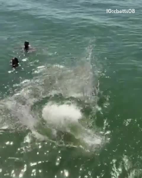 Girl black bikini jumps off of platform into water belly flop dive fail