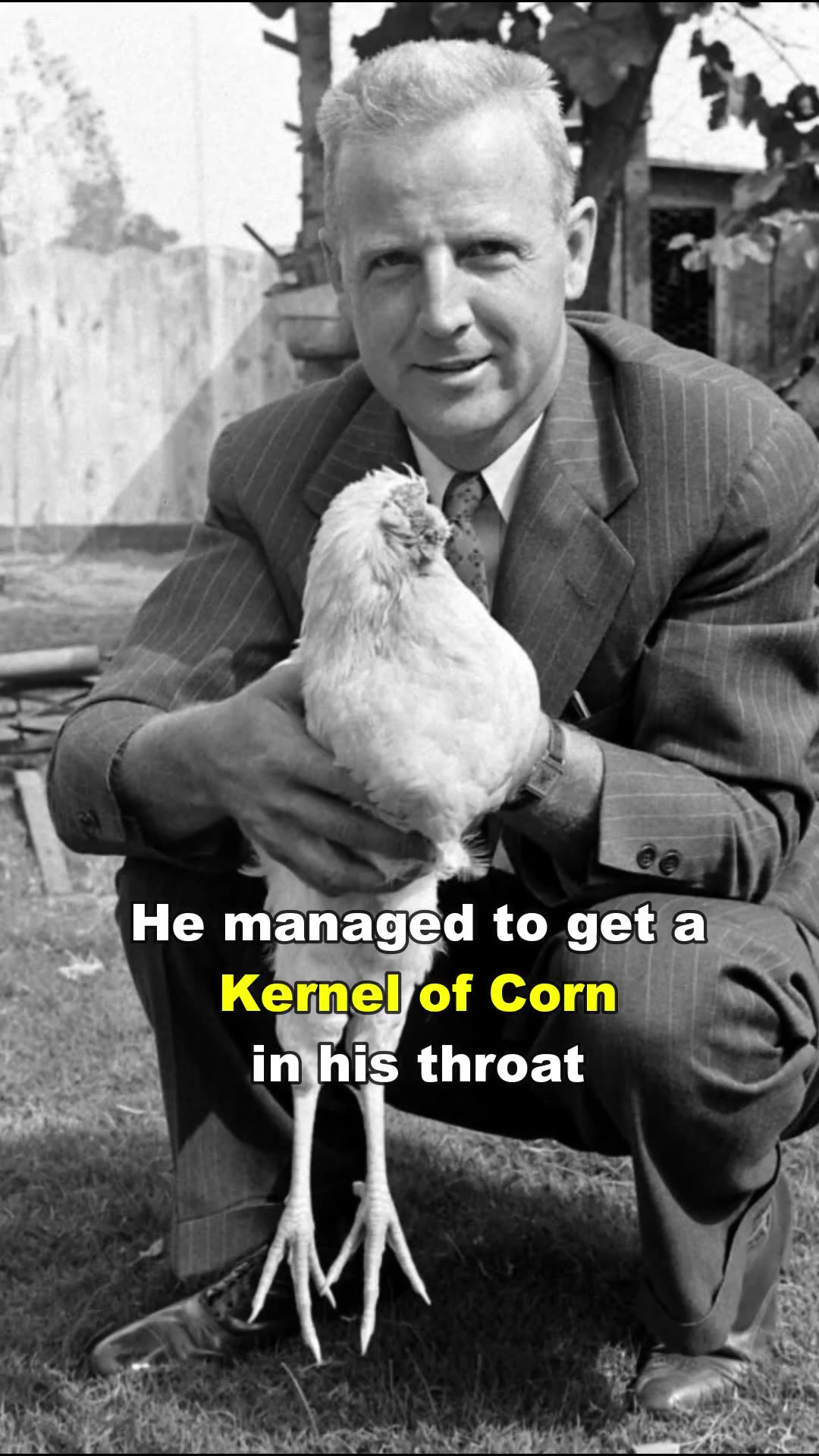 How Is This Chicken Alive Without A Head - Mike the headless Chicken