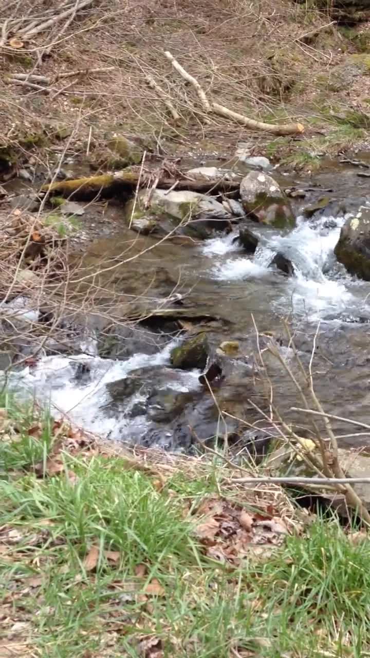 Pretty Babbling Brook Captured During My Epic Road Trip.