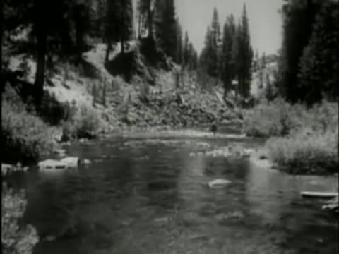 The Trail Beyond (1934) Full Movie