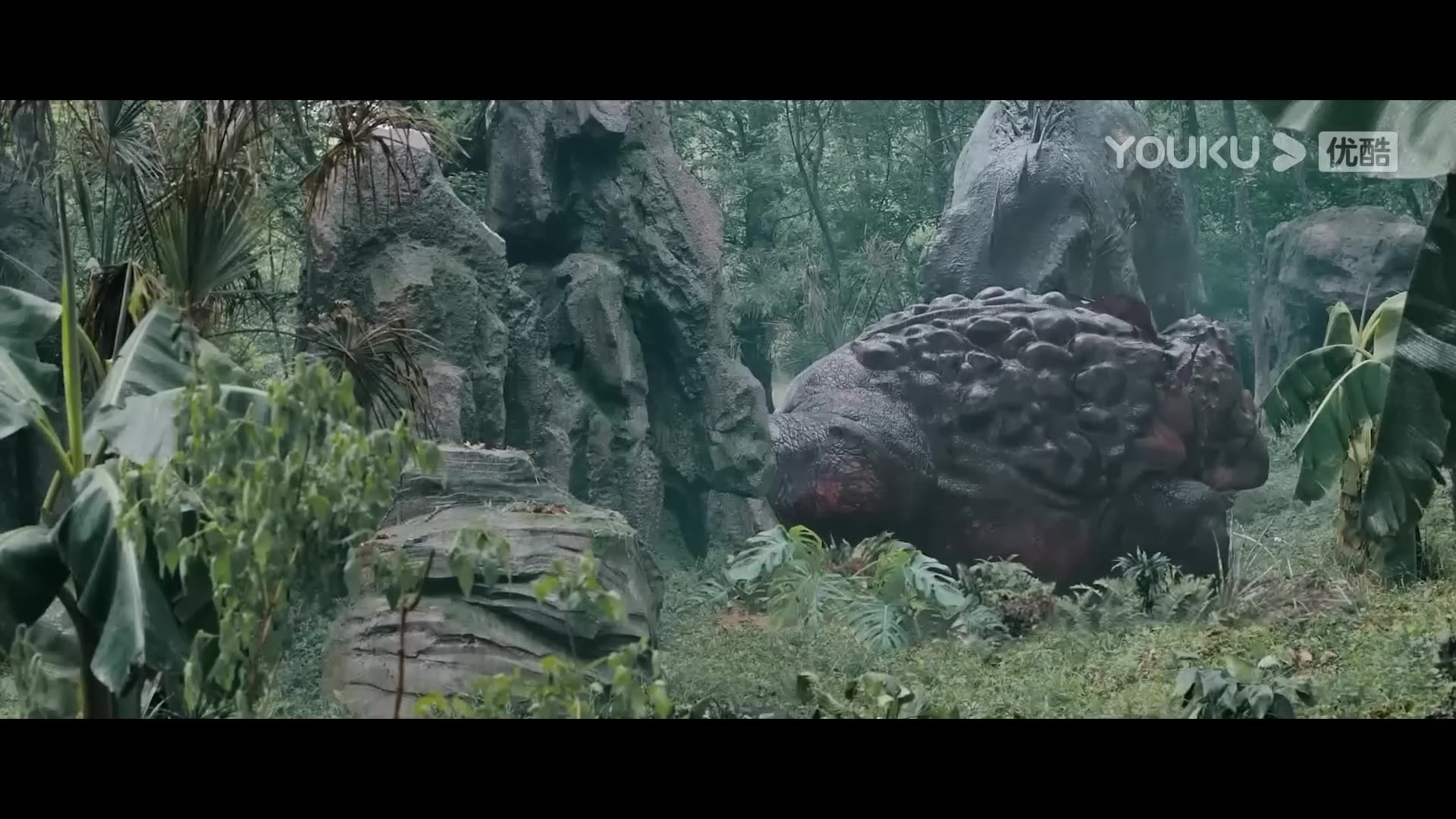 The little boy actually became a friend of life and death with the ...