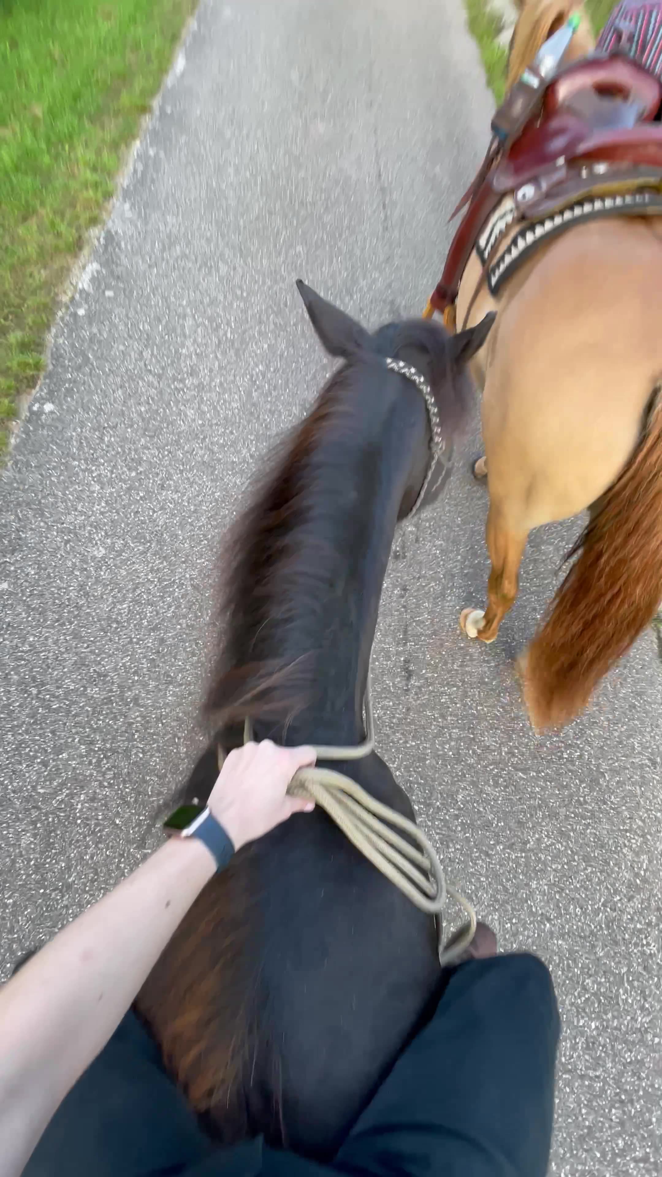 Sneaky Pony Bites Horse and Rider Gets Hit on the Shin