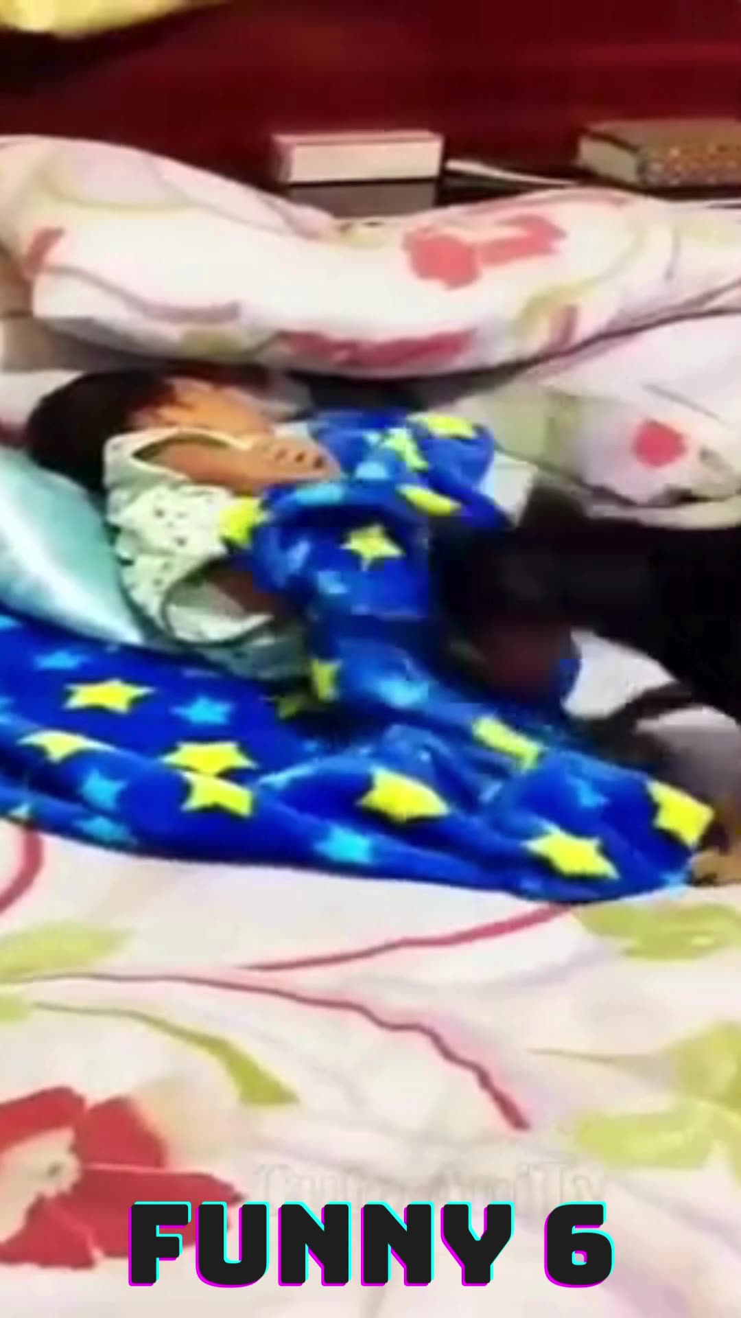 "Meow Madness: Hilarious Cat Moments Caught on Camera" 6 2023