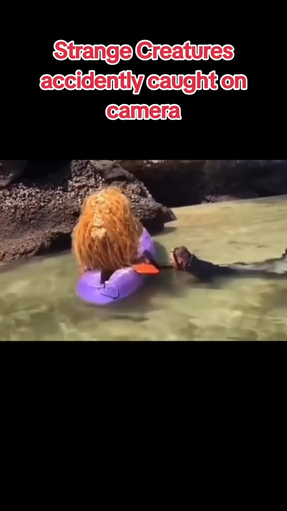 You have never seen This creature in your life