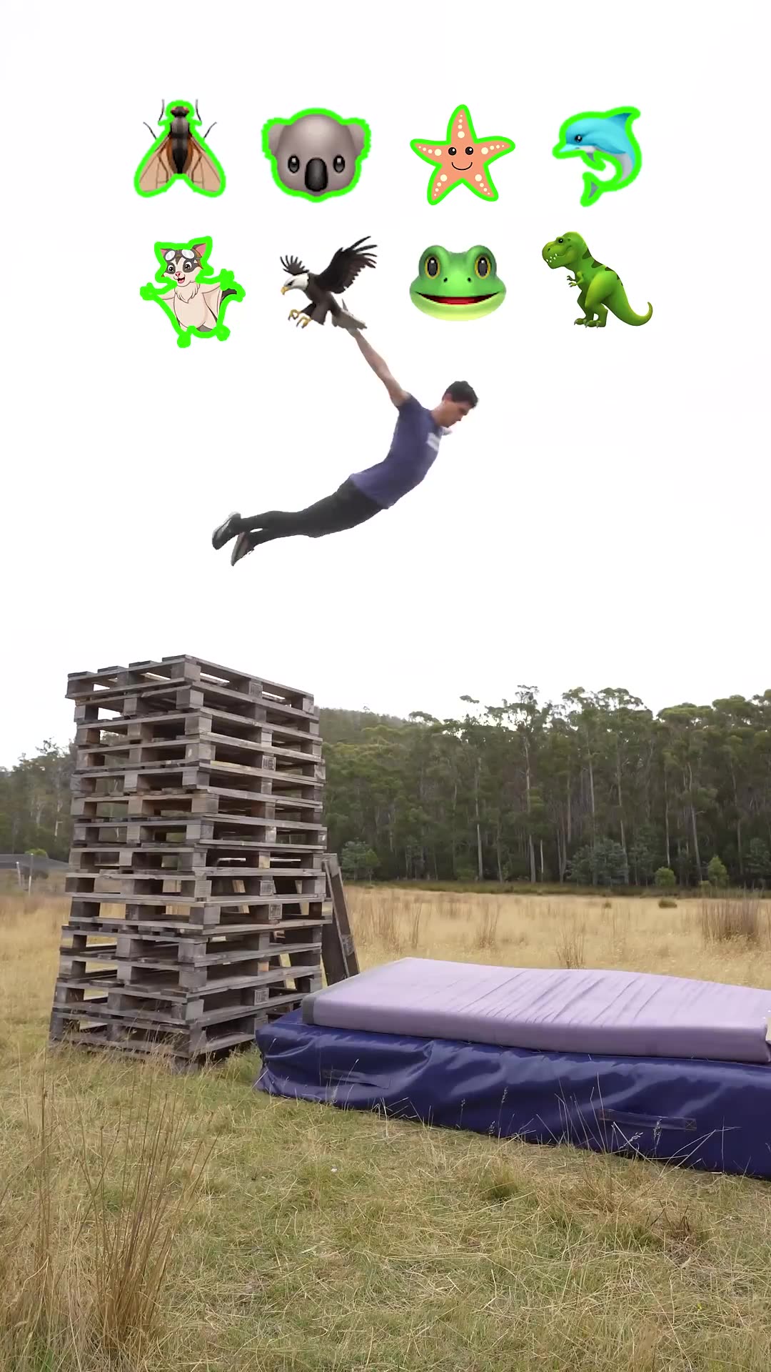 How different animals take fall damage