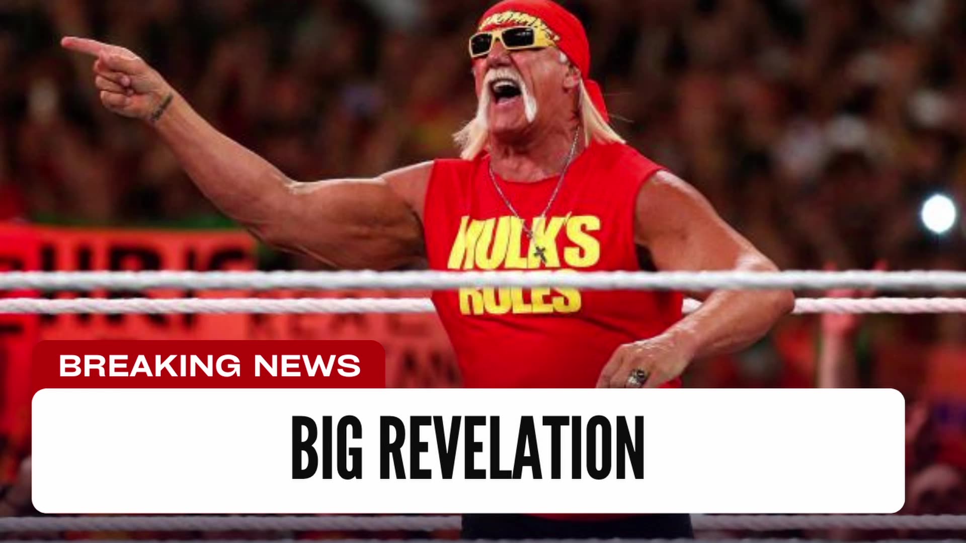Hulk Hogan Makes Big Revelation About WWE Contract