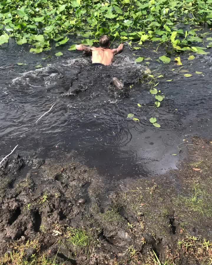 Saving a Bird Stuck in Mud