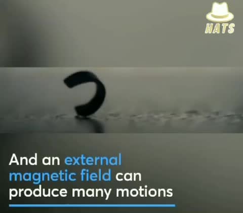 Creepy like Creepy Joe