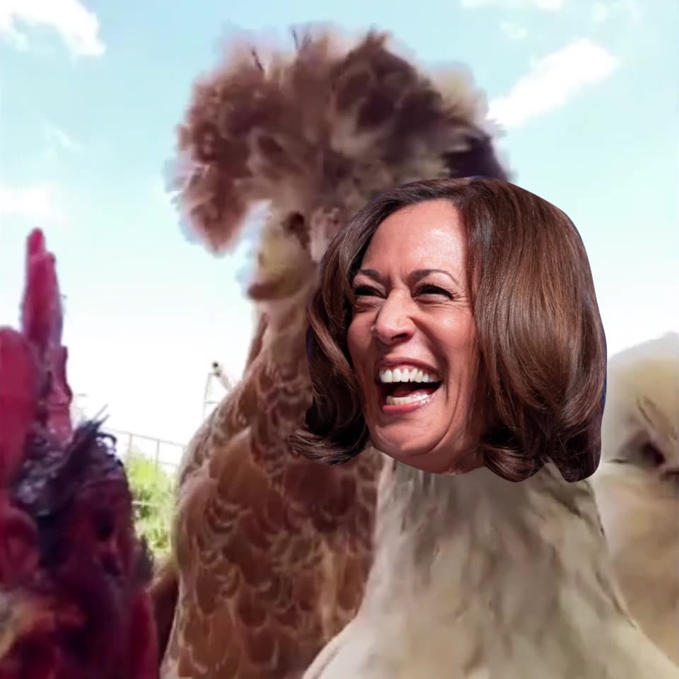 CHICKEN-MALA HARRIS!!!🤣🤣🤣