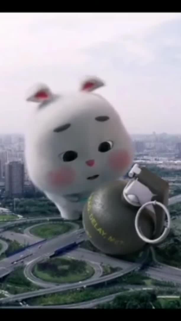 Cutest Bunny Ever- What is this?