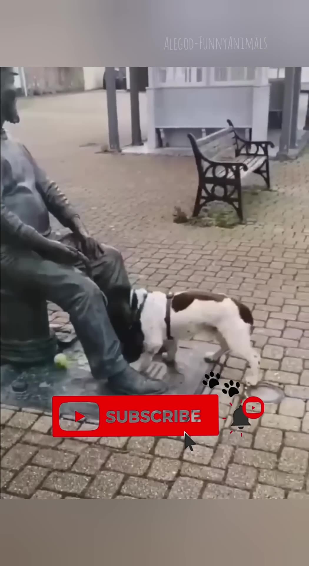 Top 10 Funniest Animal Moments That Will Make You LOL