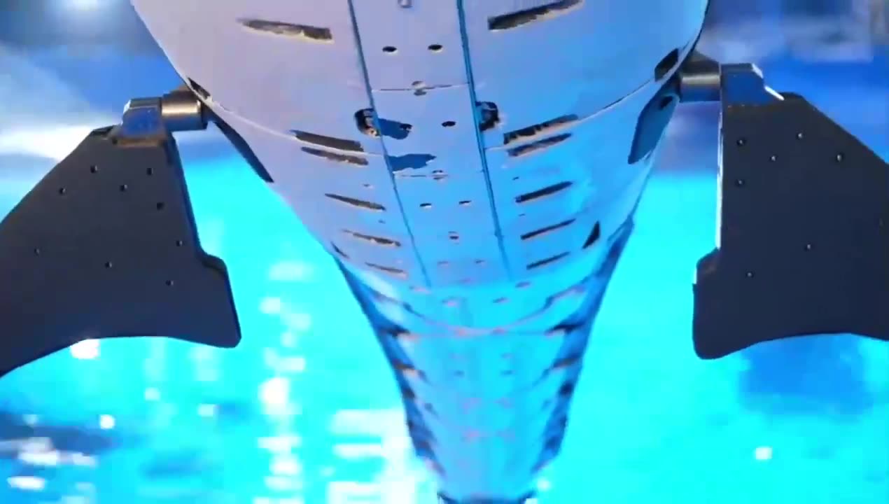 The World's First Bionic Whale Shark