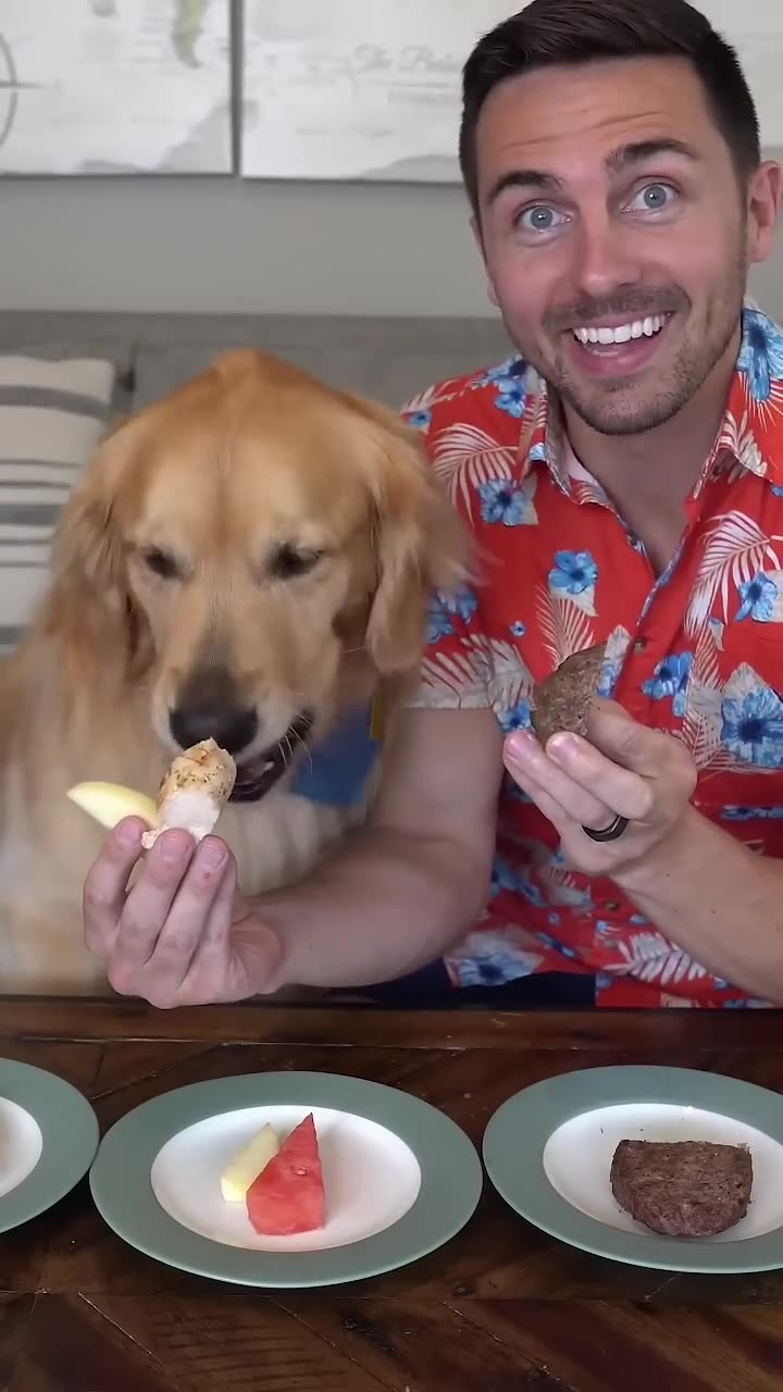 Dog picks favorite bbq food! #goldenretriever #dog