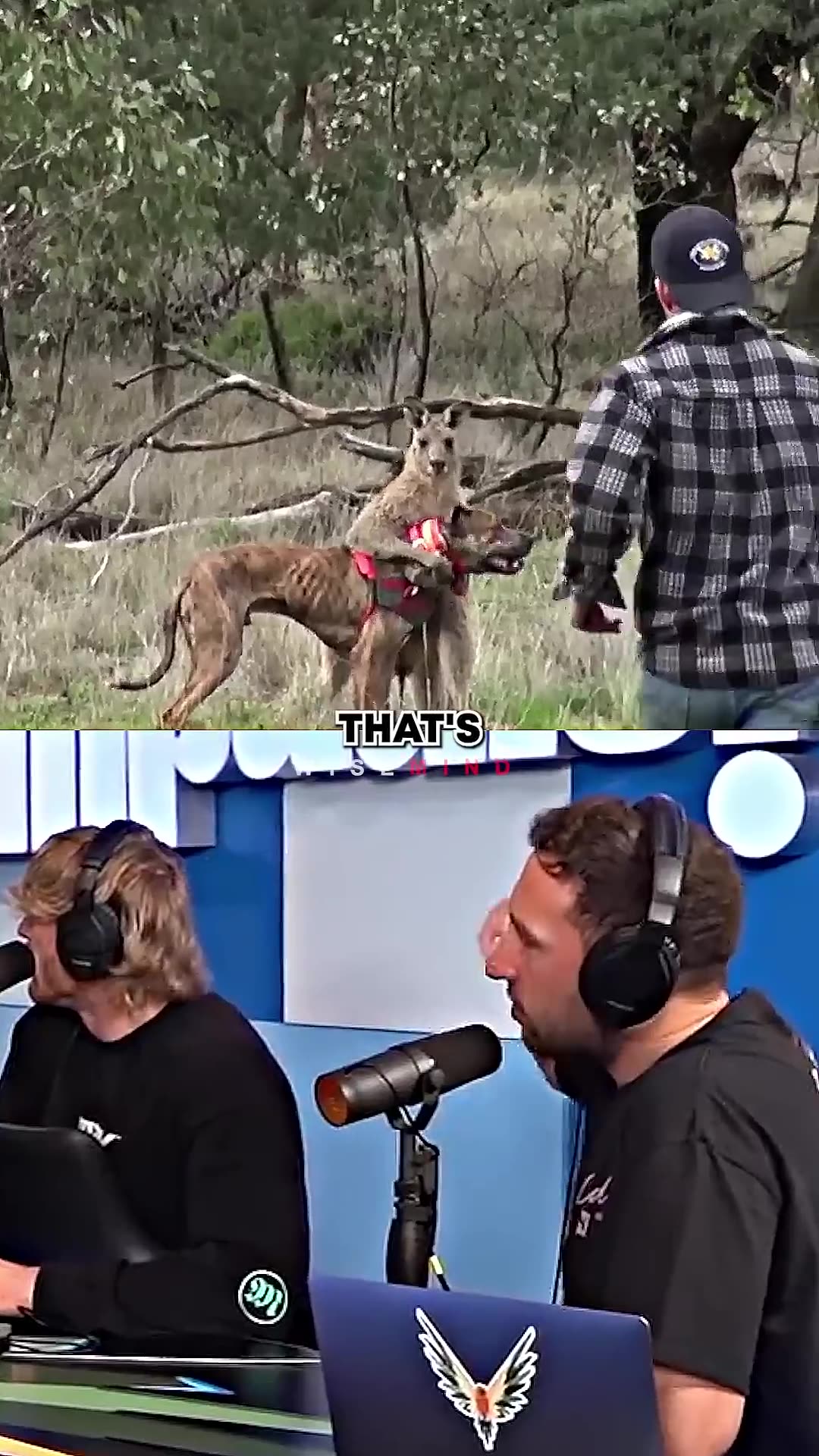 Mike Tyson Laughs at Kangaroo