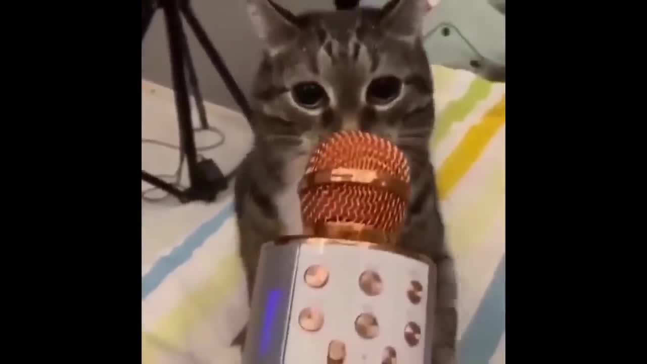 Perfectly cut memes part1