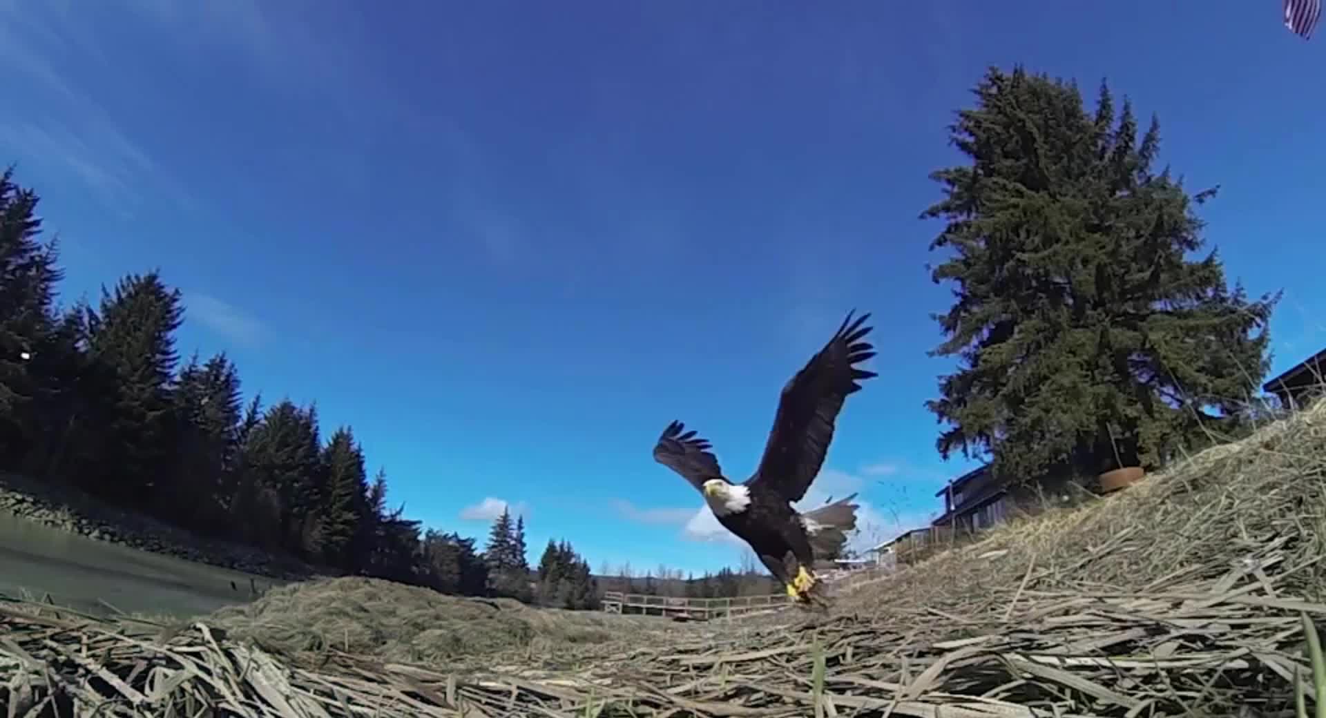 July 7 2021 bible study - Jarrin Jackson