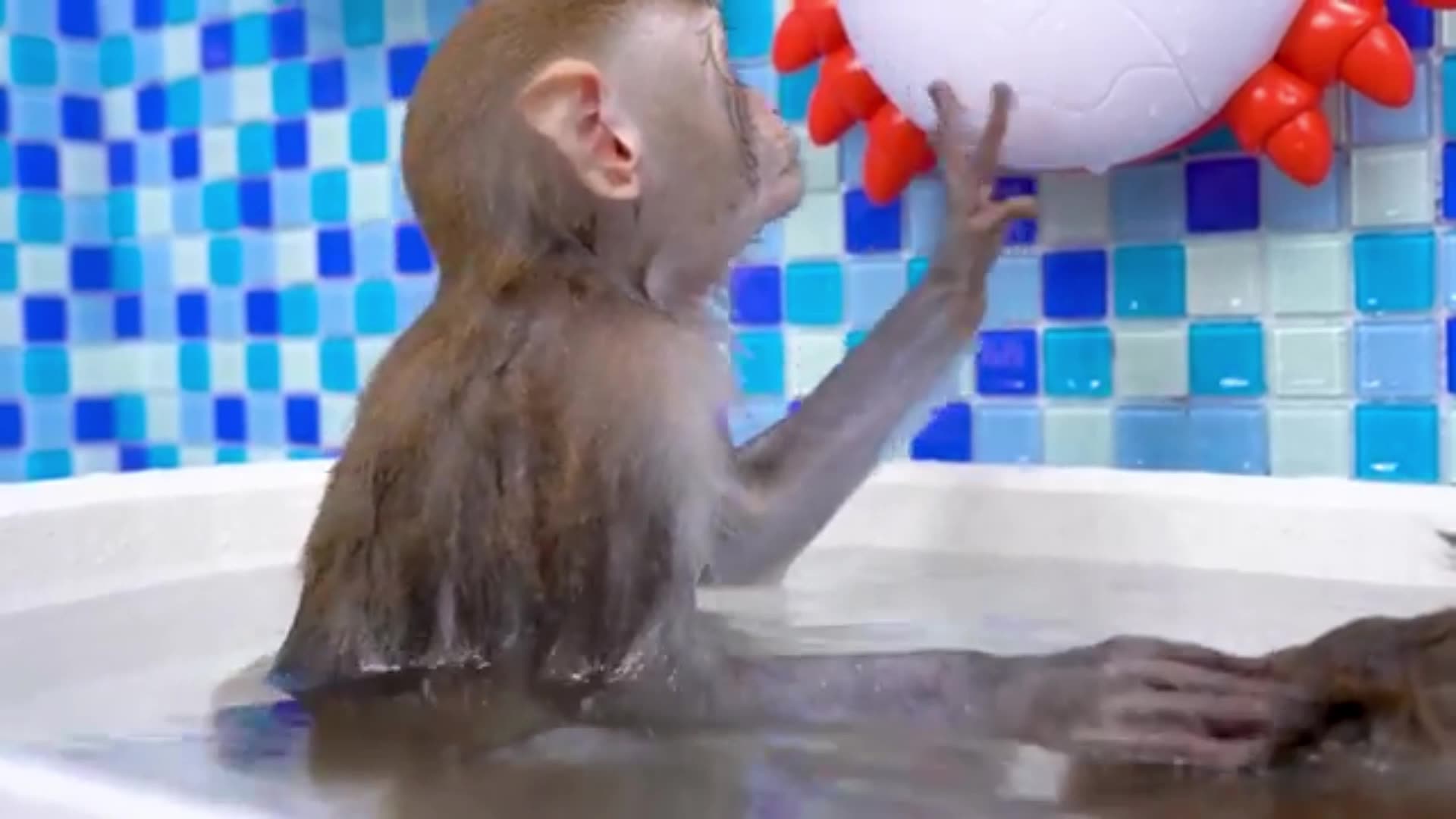 Grumpy Monkey's Soap Commercial