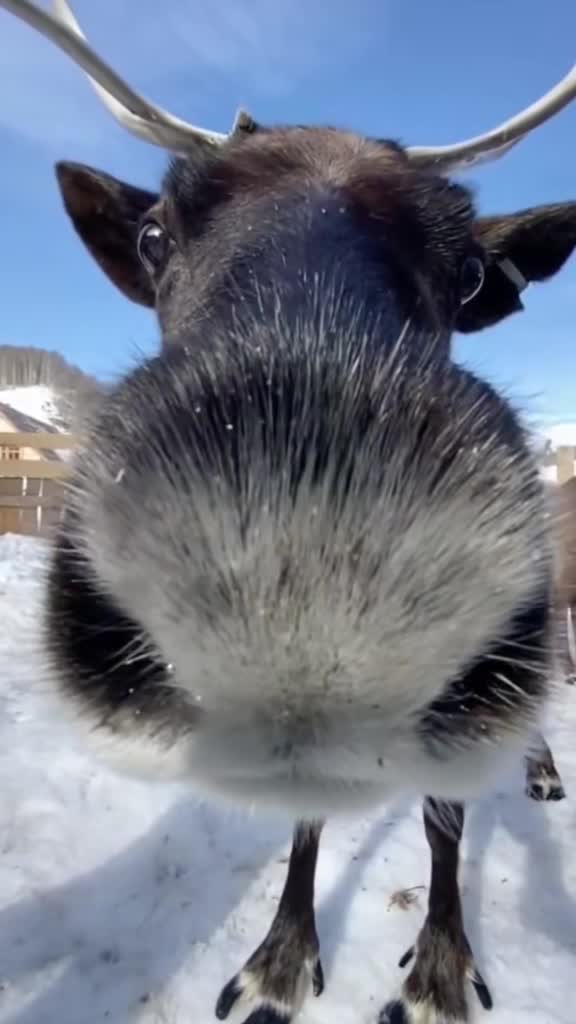 Human Resource Planning Project Team Building Project Team Formation ...