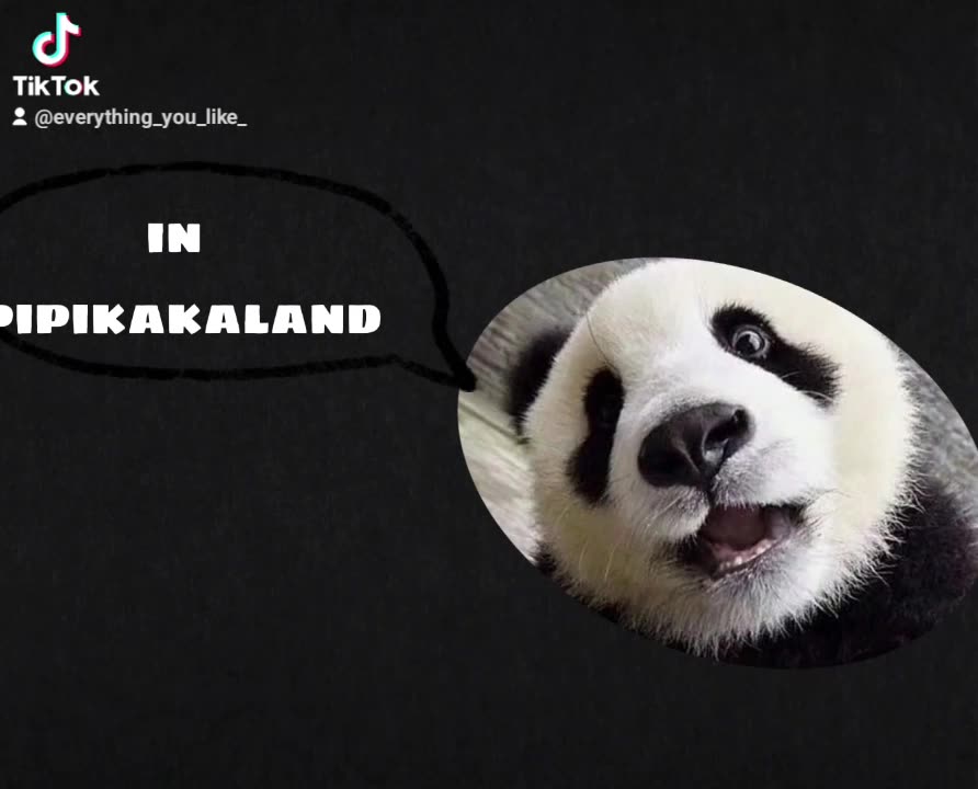 Pipi und kaki im pipi caca land meme, pipi kaka land, cute panda bear ...