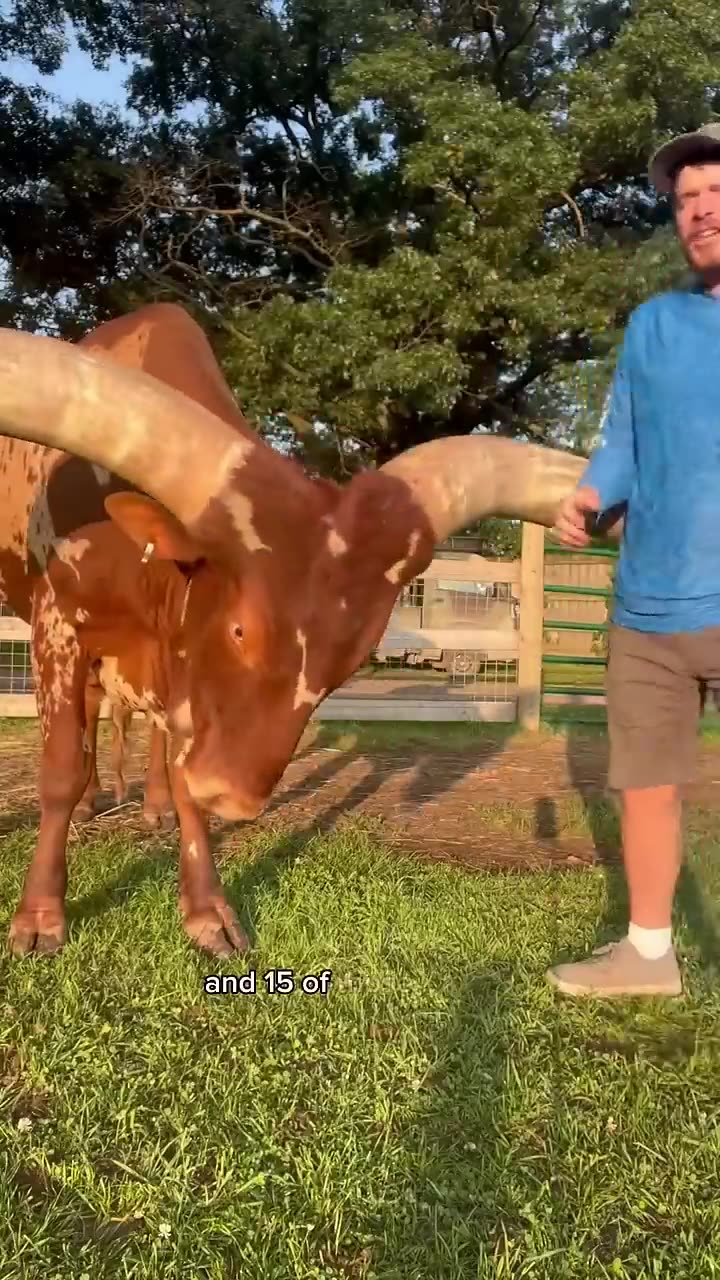 One of the deadliest animals! #animals #animal #amazinganimals