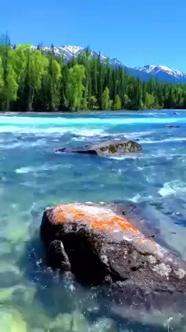 Natural Videos