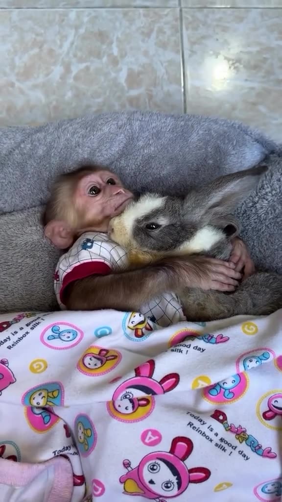 Bedtime Routine: Monkey Tucks Bunny into Their Cozy Bed
