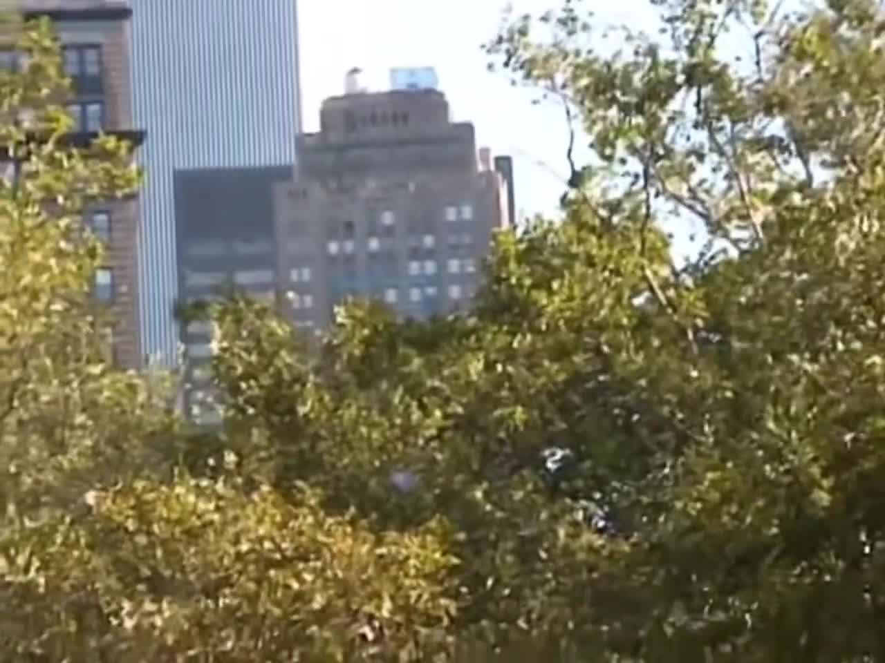 Unseen 9/11 footage of the second plane hitting the WTC suddenly ...