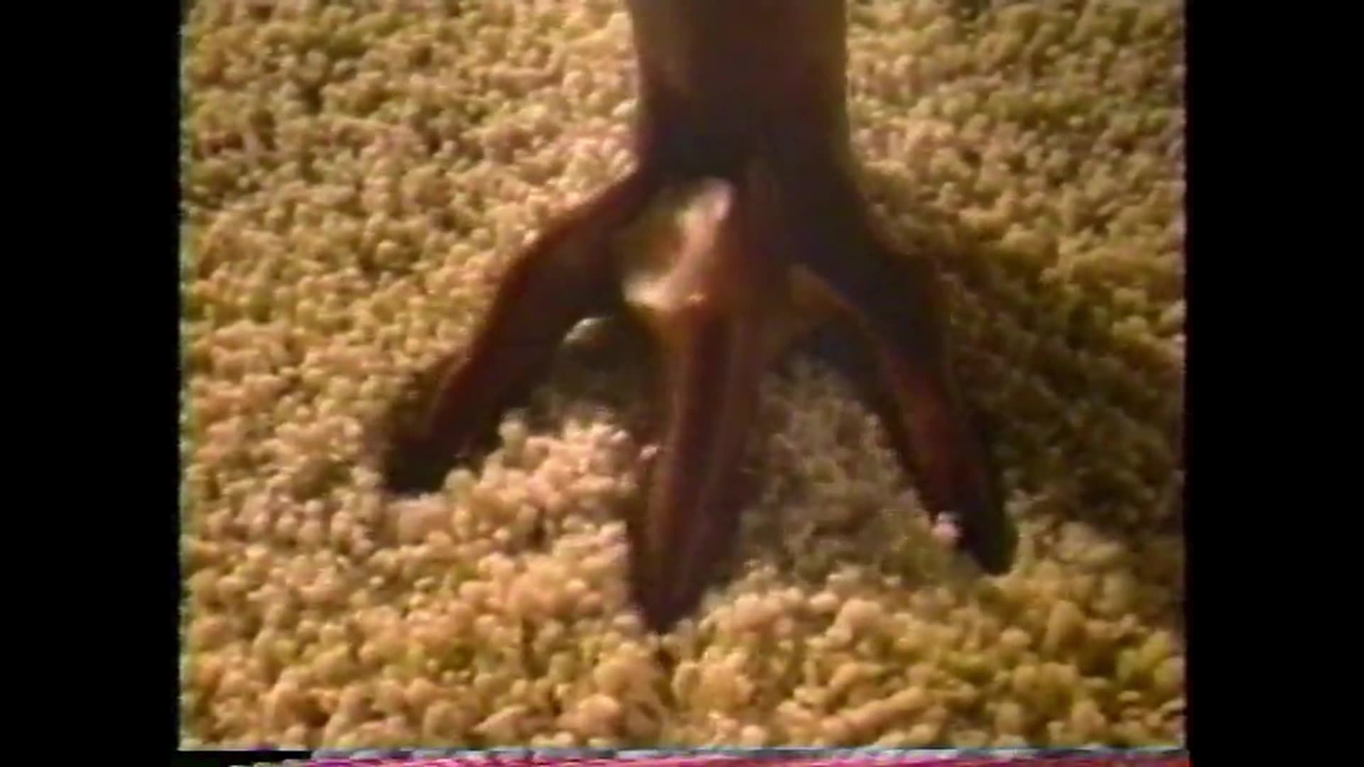 Random Commercials - Vol 12